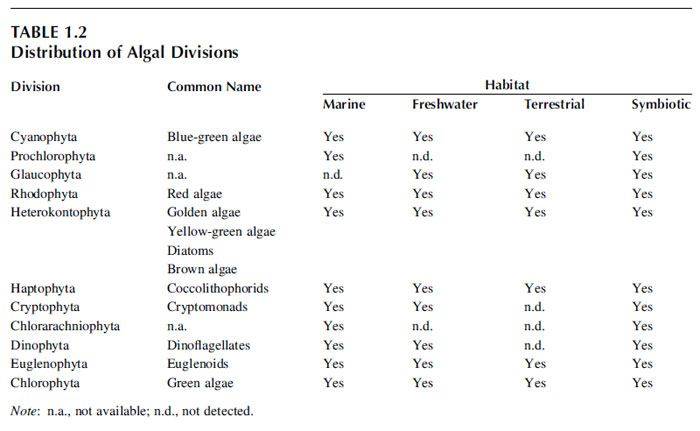Classification Of Algae 6 Criterions How To Control Algae In A Fish